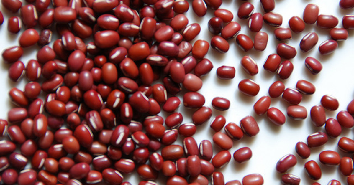 L'Azuki, un haricot rouge japonais très prisé